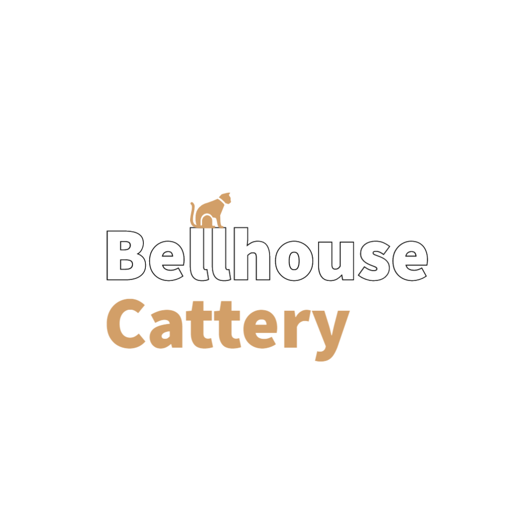 Home - Bellhouse Cattery